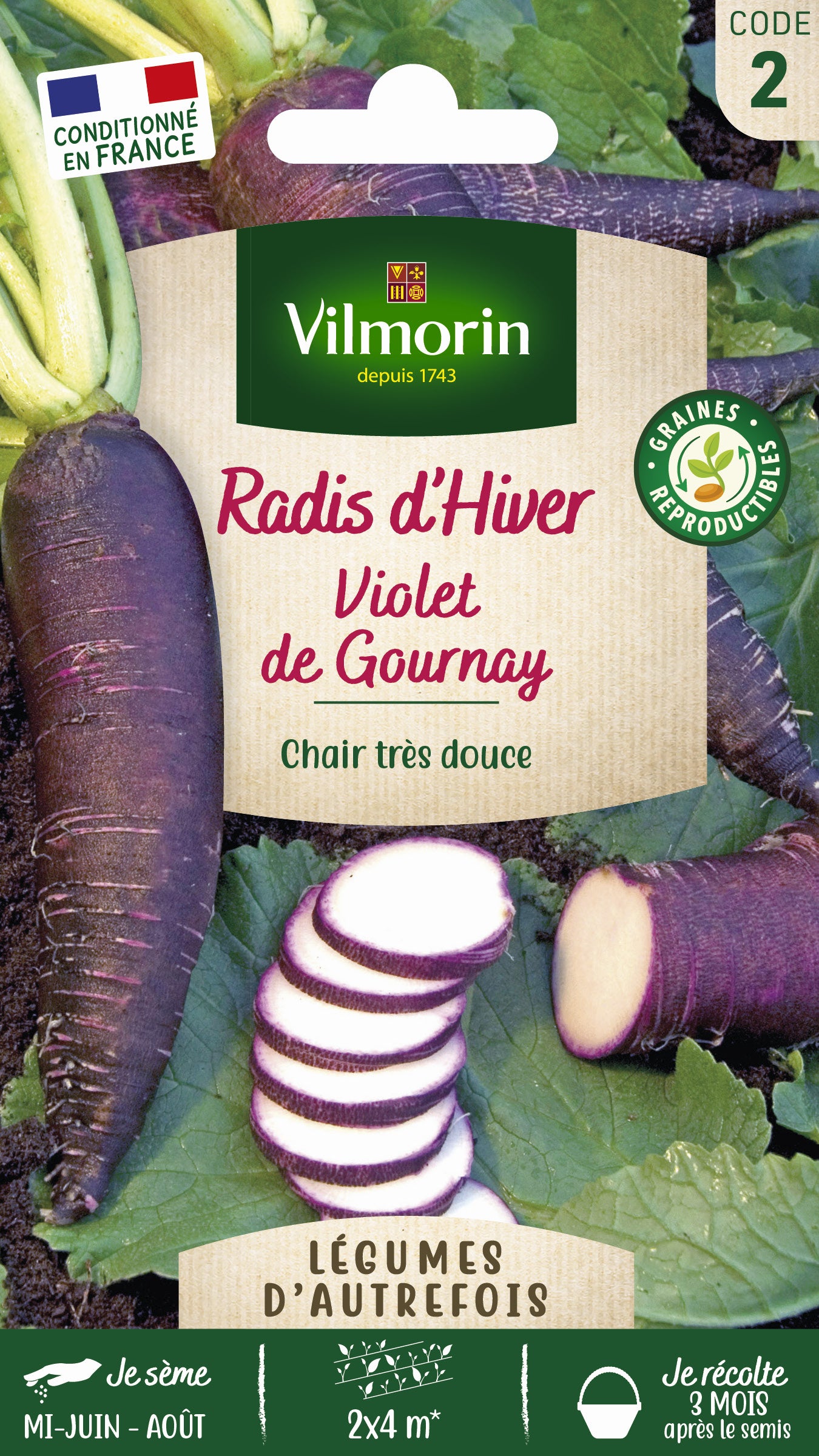 Radis Violet de Gournay - Légumes d'Autrefois | Leroy Merlin