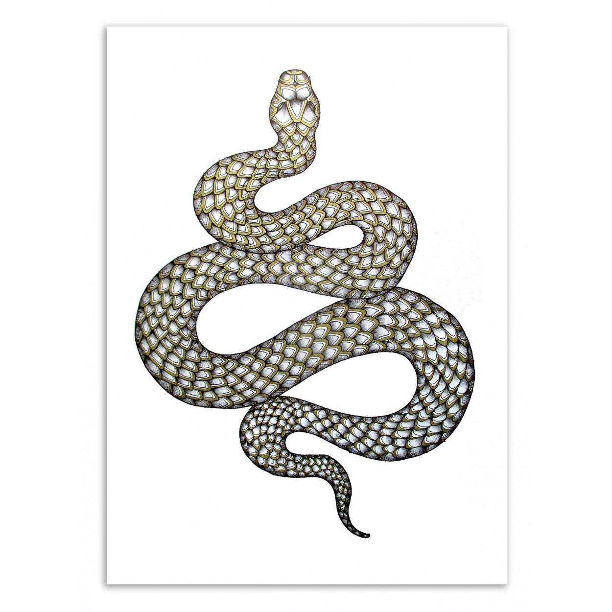 Affiche d’art 30 x 40 cm - Snake's Charm - Ella Mazur | Leroy Merlin