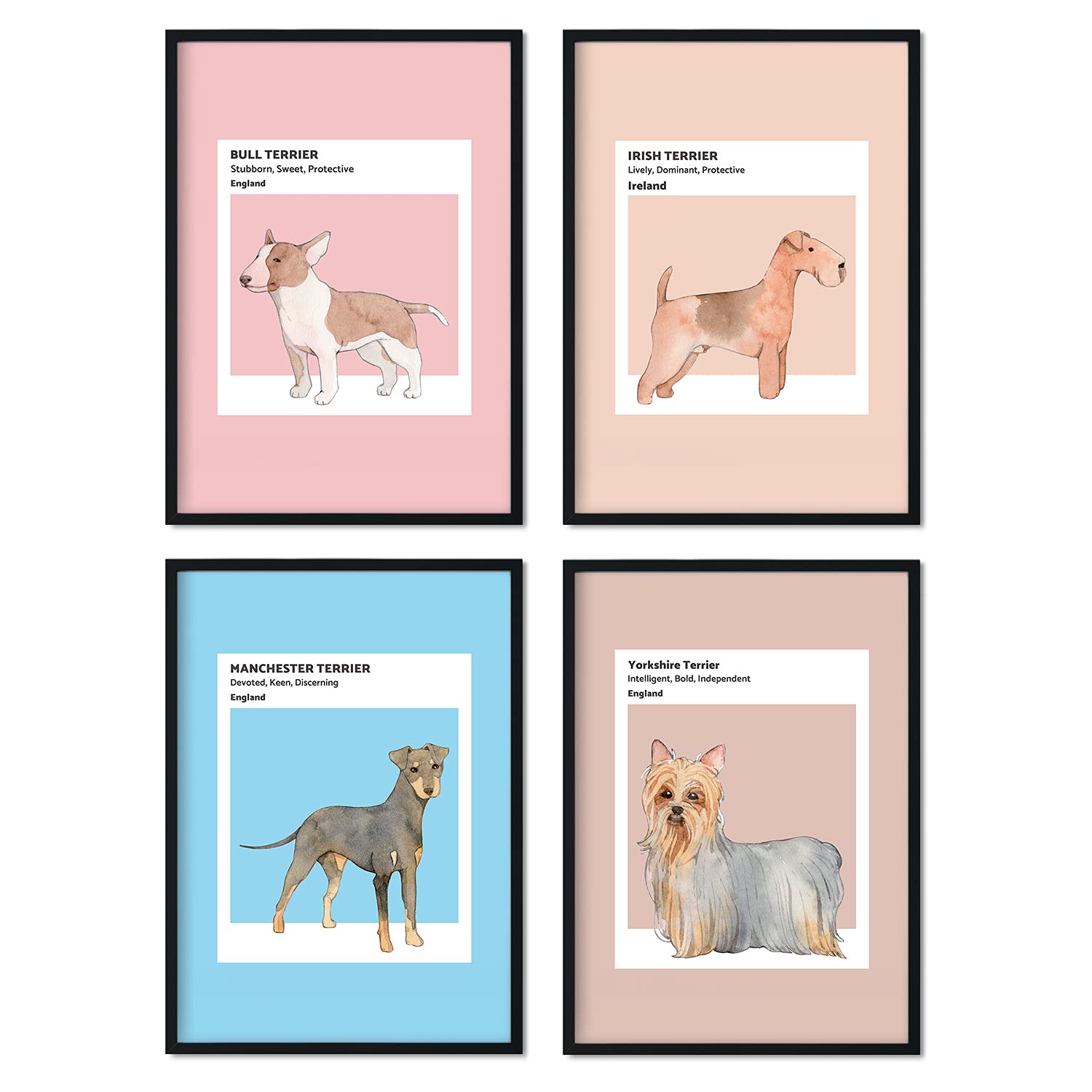 Ensemble De Feuilles De Pack Terrier. Affiches Avec Des Illustrations ...