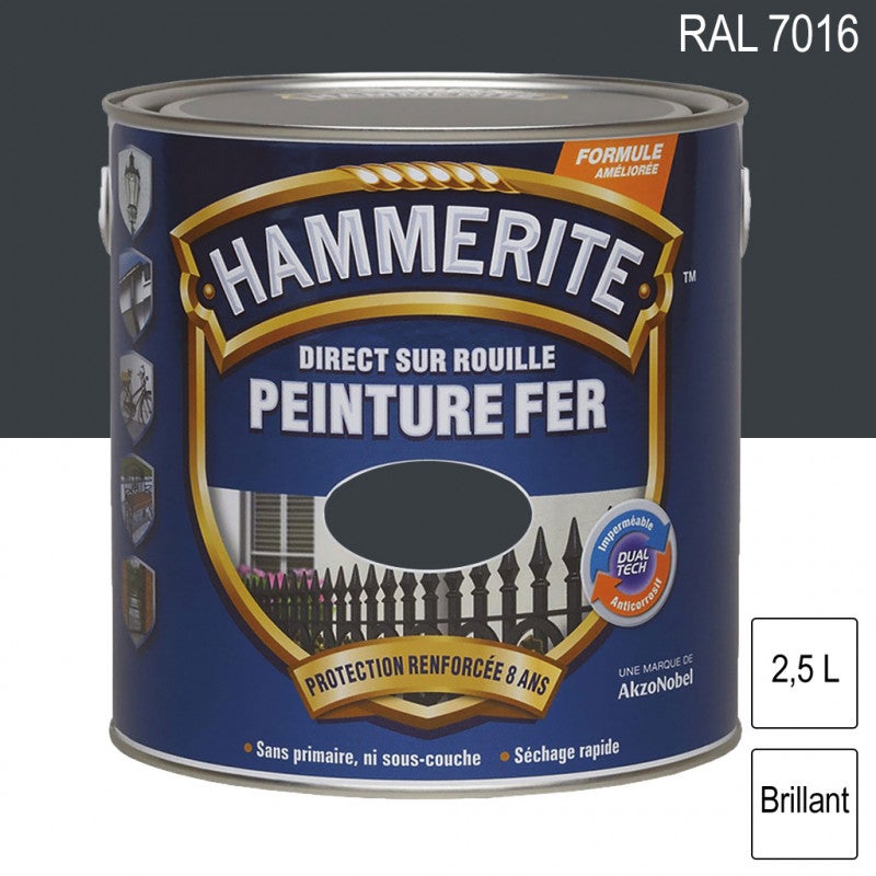 Peinture fer Direct sur Rouille RAL 7016 Gris anthracite brillant 2,5L ...
