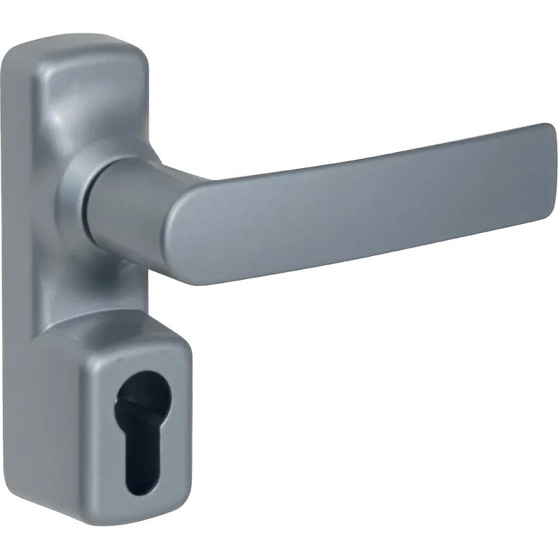 Module extérieur Oltre livré sans cylindre finition gris RAL 9006 ...