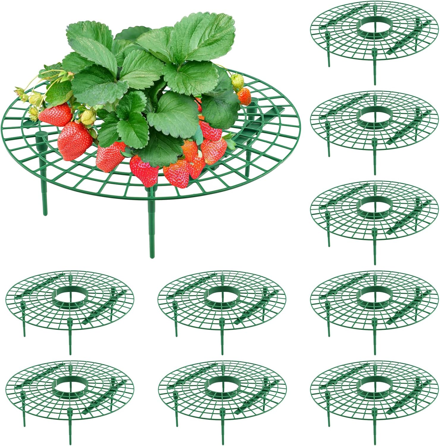 10 Pack Strawberry Plant Support, Round Strawberry Growing Racks ...