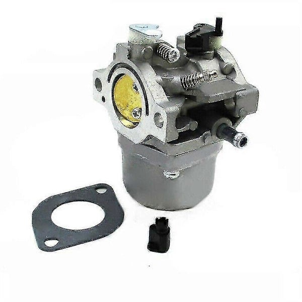Carburateur pour moteur Briggs & Stratton 12,5 ch, référence 799728 ...