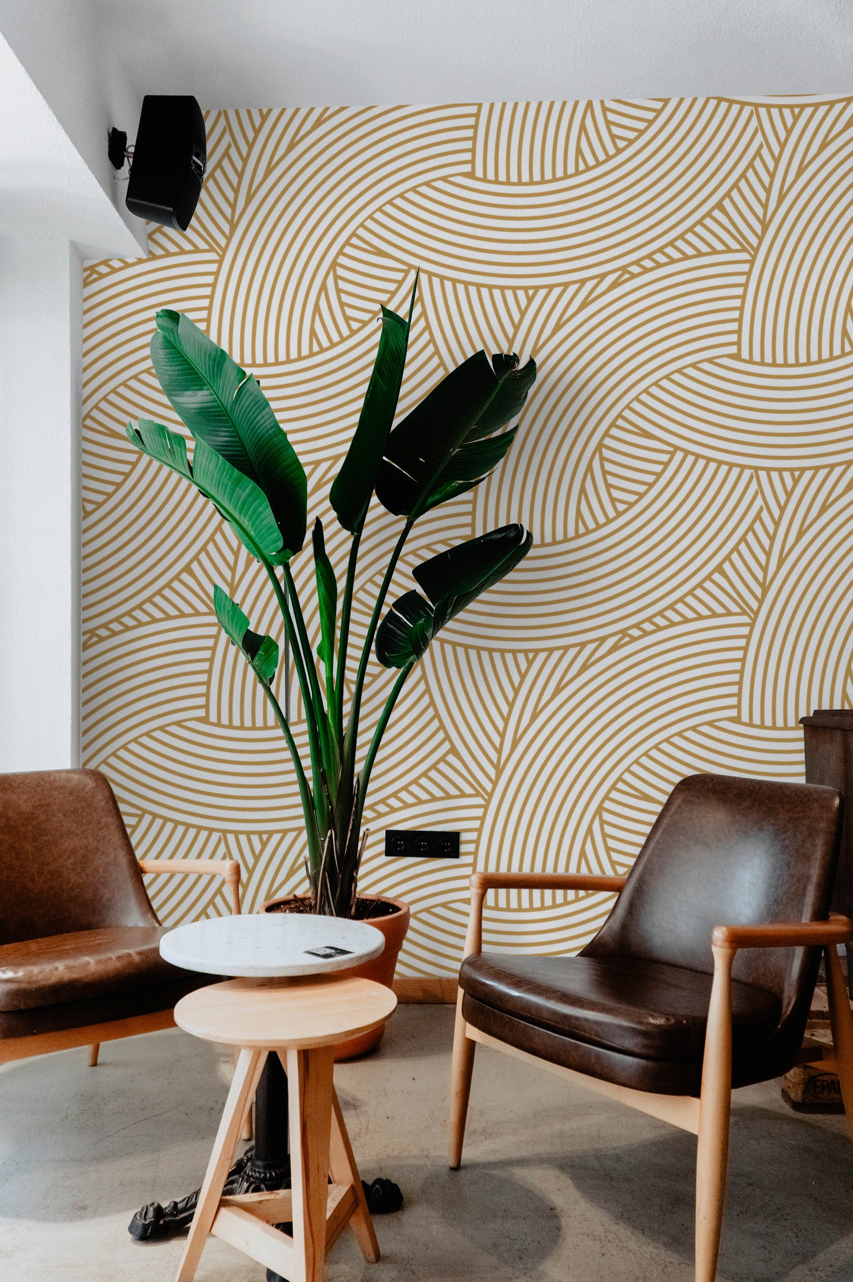 Papier Peint intissé Wellpapers - Nœud Doré - 300 x 250 cm (7,5 m2 ...