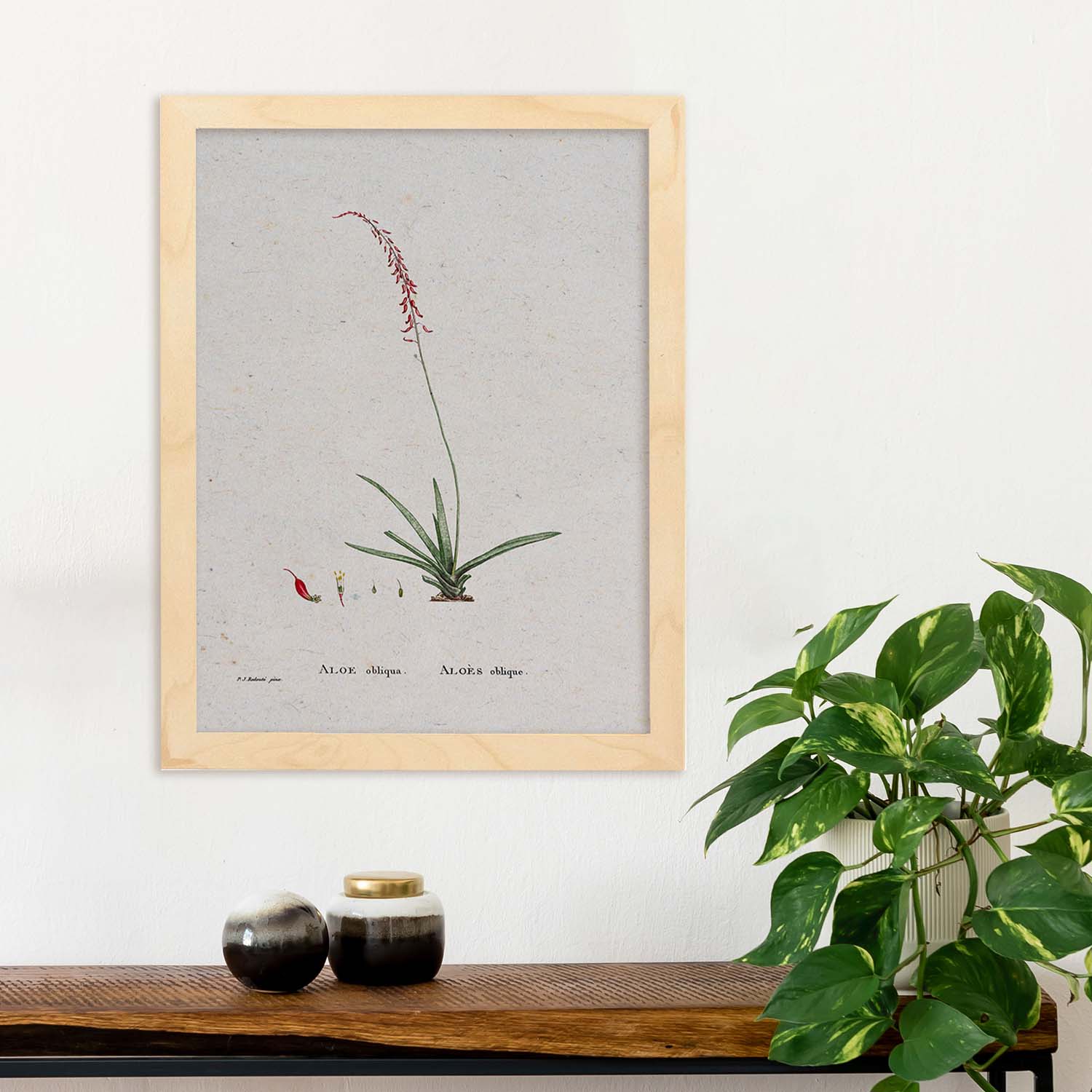 Foglio Naturale - 115. Poster Con Illustrazioni In Acquerello Di Pierre ...