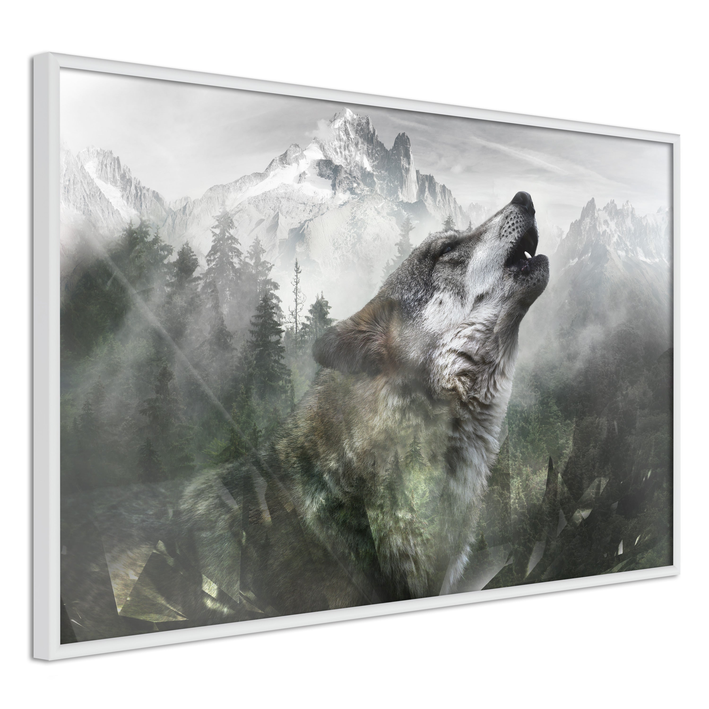 Poster et affiche - Wolf's Territory - 90x60 | Leroy Merlin