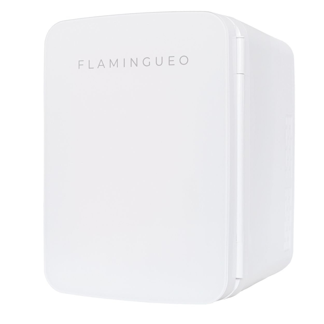 Flamingueo Mini Frigo de Chambre 10L Petit Frigo 12V/220V Fonction ...