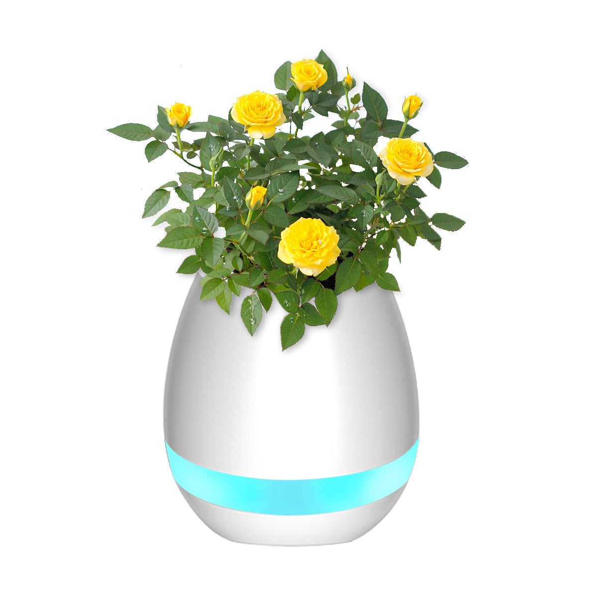 Smart Flower Pot Altavoz Bluetooth Música Piano LED 7 colores | Leroy ...