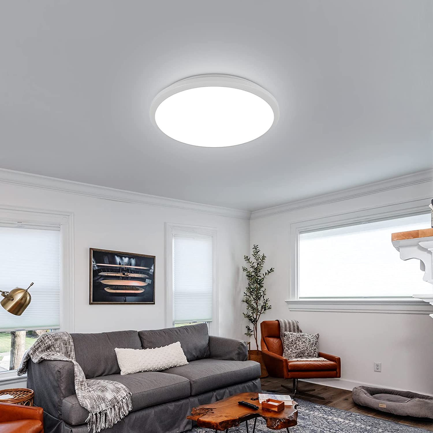 COMELY Plafoniera LED Rotonda 36W 4050LM 6500K Luce Bianca Fredda ...