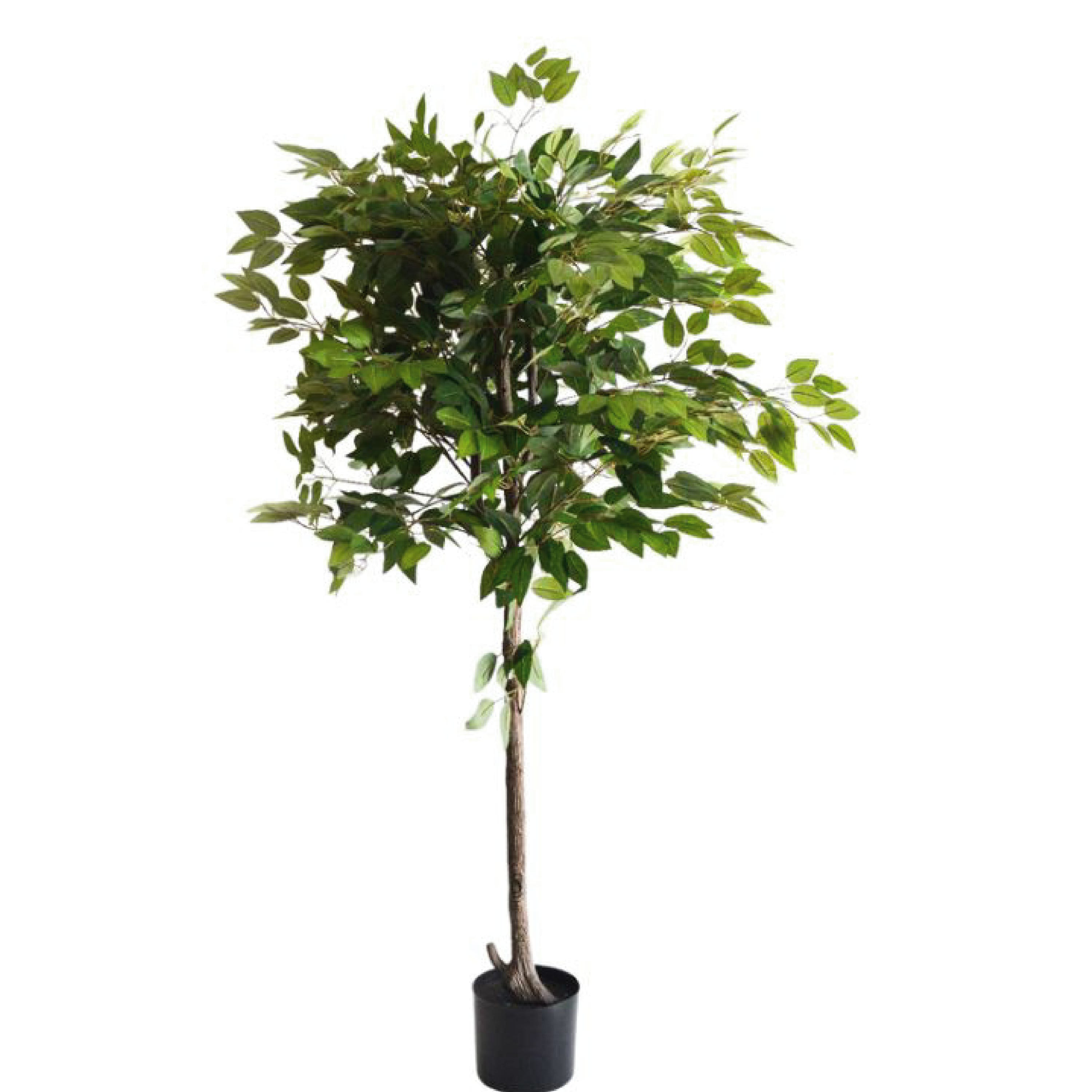 Planta Artificial Ficus 180 Cm Árbol Ficus Artificial Leroy Merlin