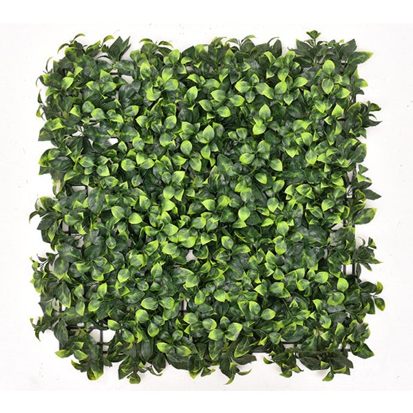 Pared de plantas, plantas artificiales para montaje en pared, 50 x 50 ...