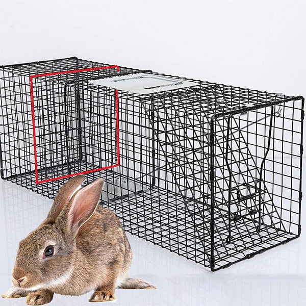 Noir, piège à chat, piège à animaux, cage piège à animaux vivants ...