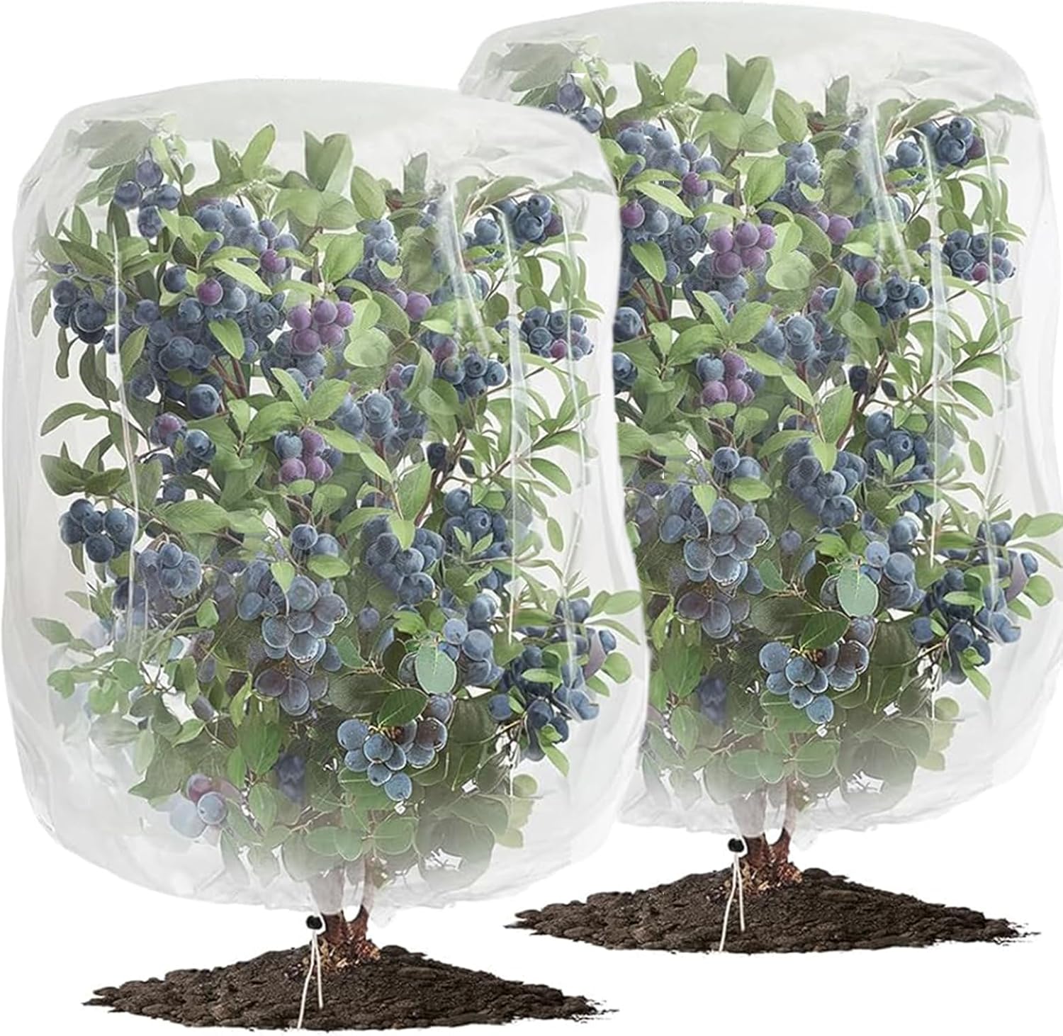 Lot de 2 filets anti-insectes et anti-oiseaux blancs (1,2 x 1,8 m) avec ...