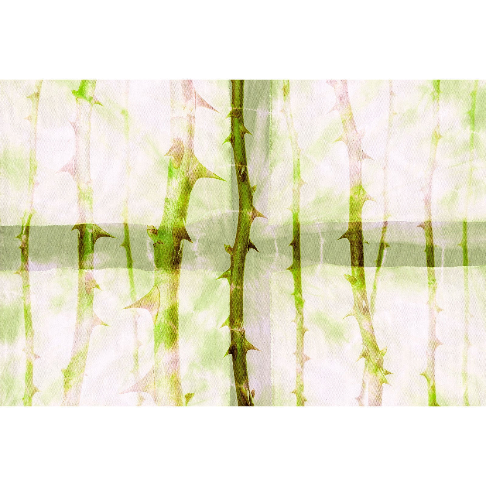 Papier peint panoramique plante vert idéal couloir Tapisserie ...