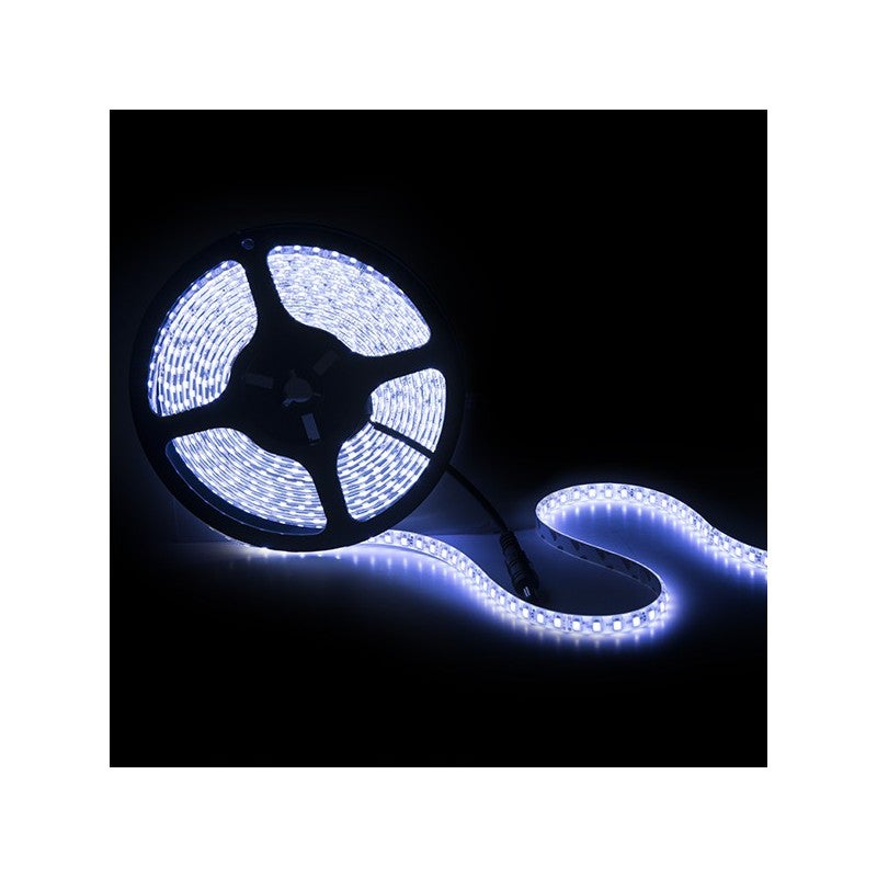 Tira de 600 LEDs 60W 5.500Lm CRI85 6000ºK SMD2835 24VDC IP65 x5M 40 ...