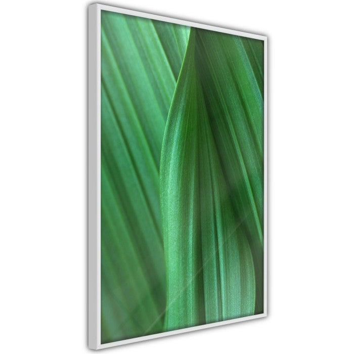 Affiche Murale Encadrée "Leaf Structure" 21 x 30 cm Blanc | Leroy Merlin