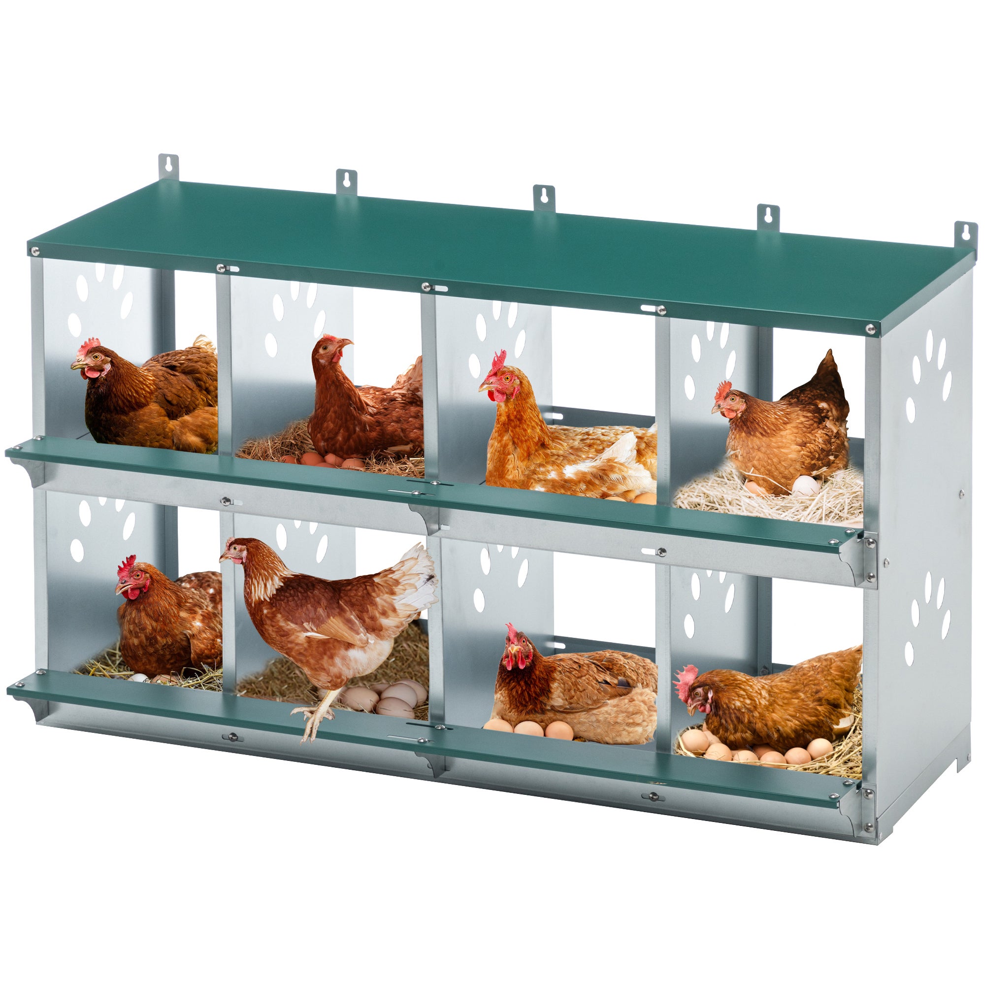 Pondoir pour Poules 8 Compartiments en Métal, Nichoir à Fixation Murale ...