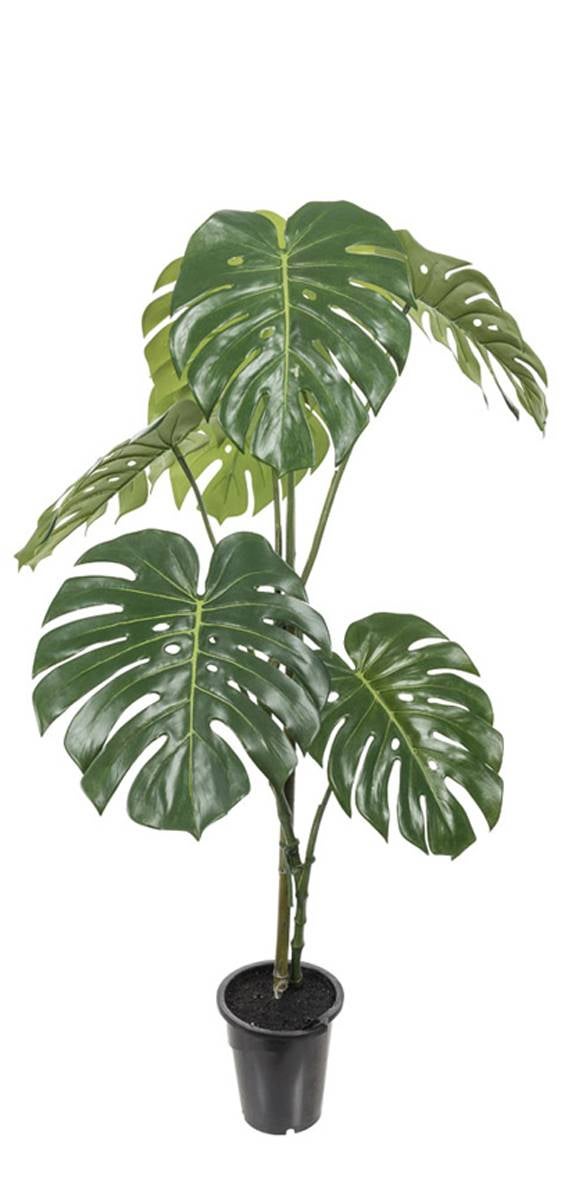 Monstera deliciosa artificielle, sur pied, en pot H 120 cm, D 65 cm ...