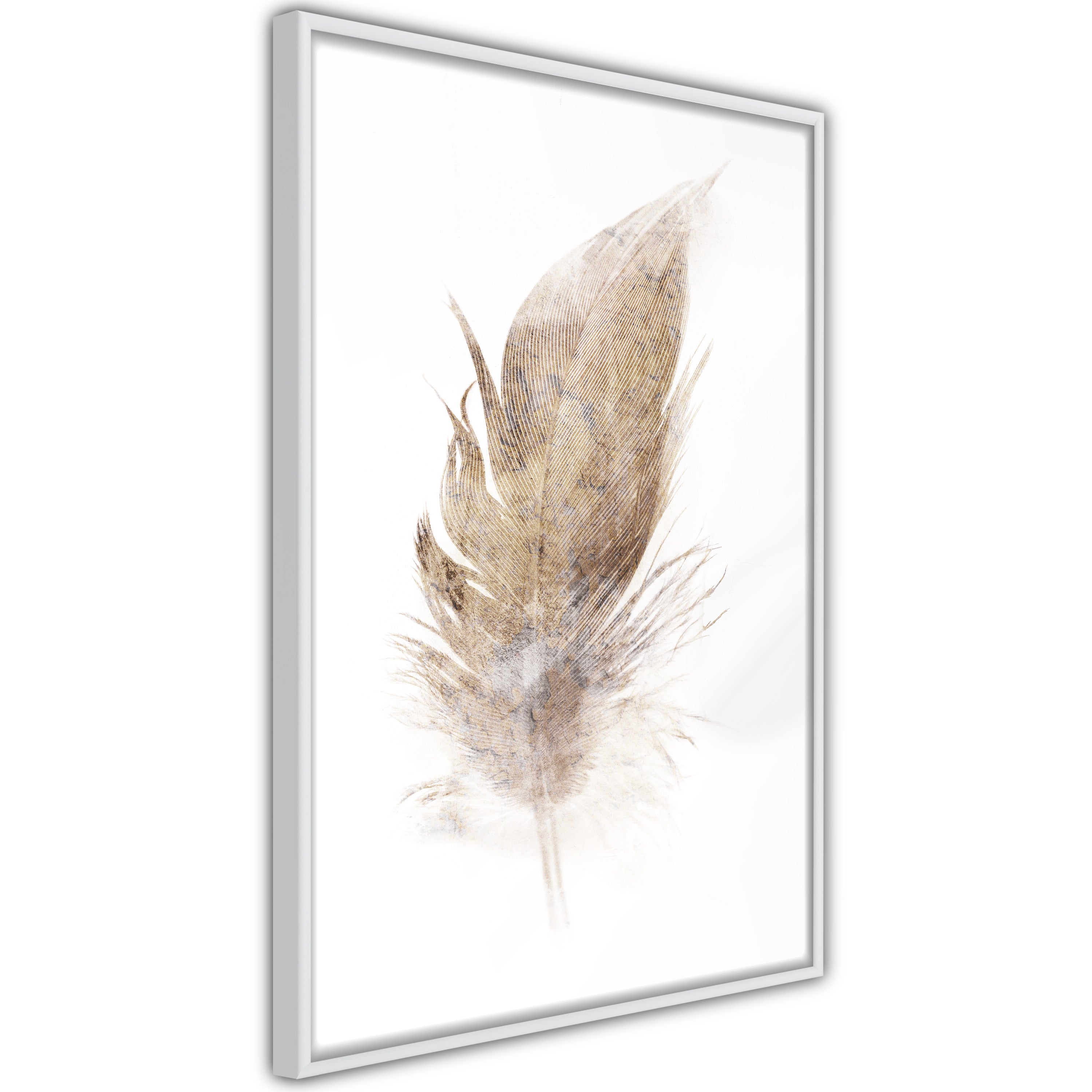 Poster et affiche - Lost Feather (Beige) - 40x60 | Leroy Merlin