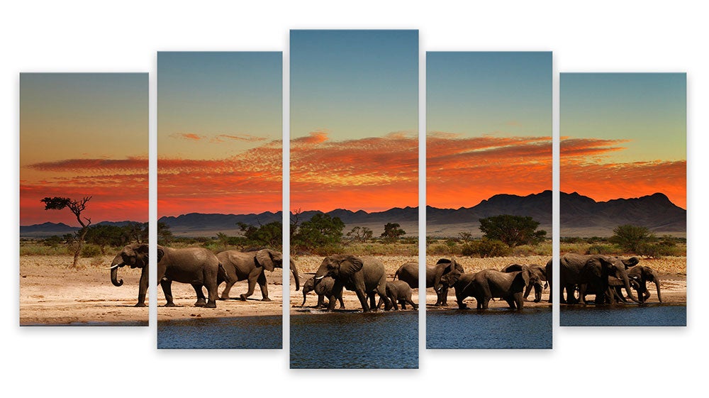 Tableau 5 parties Tableau photo elephants se désaltérant - 150x80 cm ...
