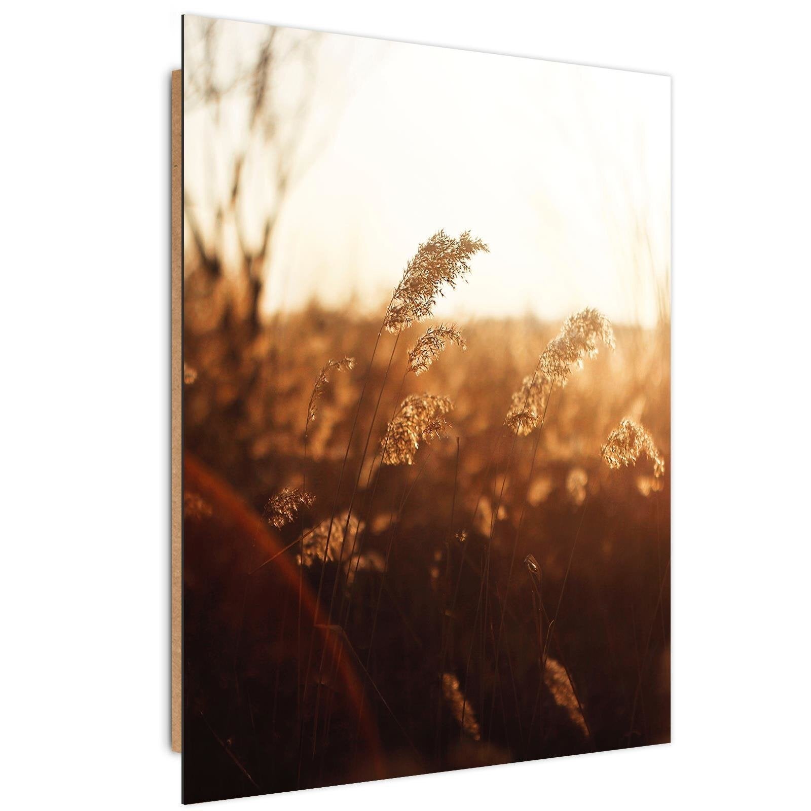 Tableau bois haute herbe au soleil - 80 x 120 cm | Leroy Merlin