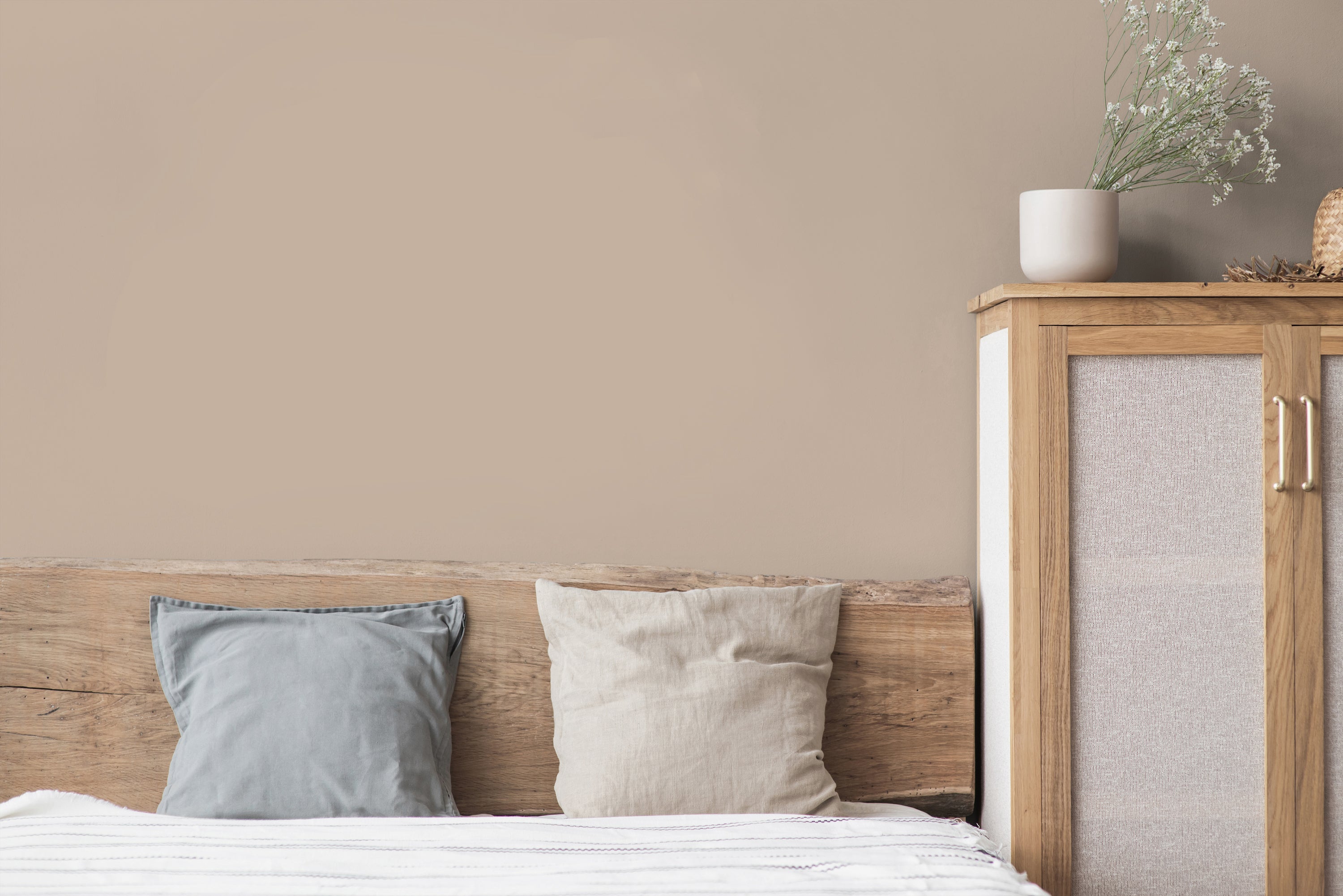 THE COLOR KITCHEN - Pintura mural de muy alta opacidad Beige Interior ...