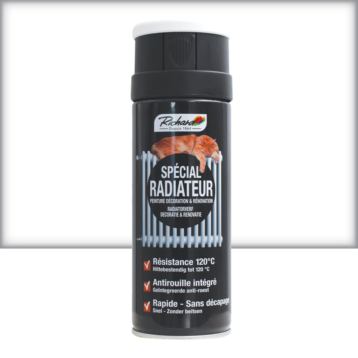 Bombe de Peinture Spécial Radiateur 400 ml RICHARD RAL 9010 Blanc ...
