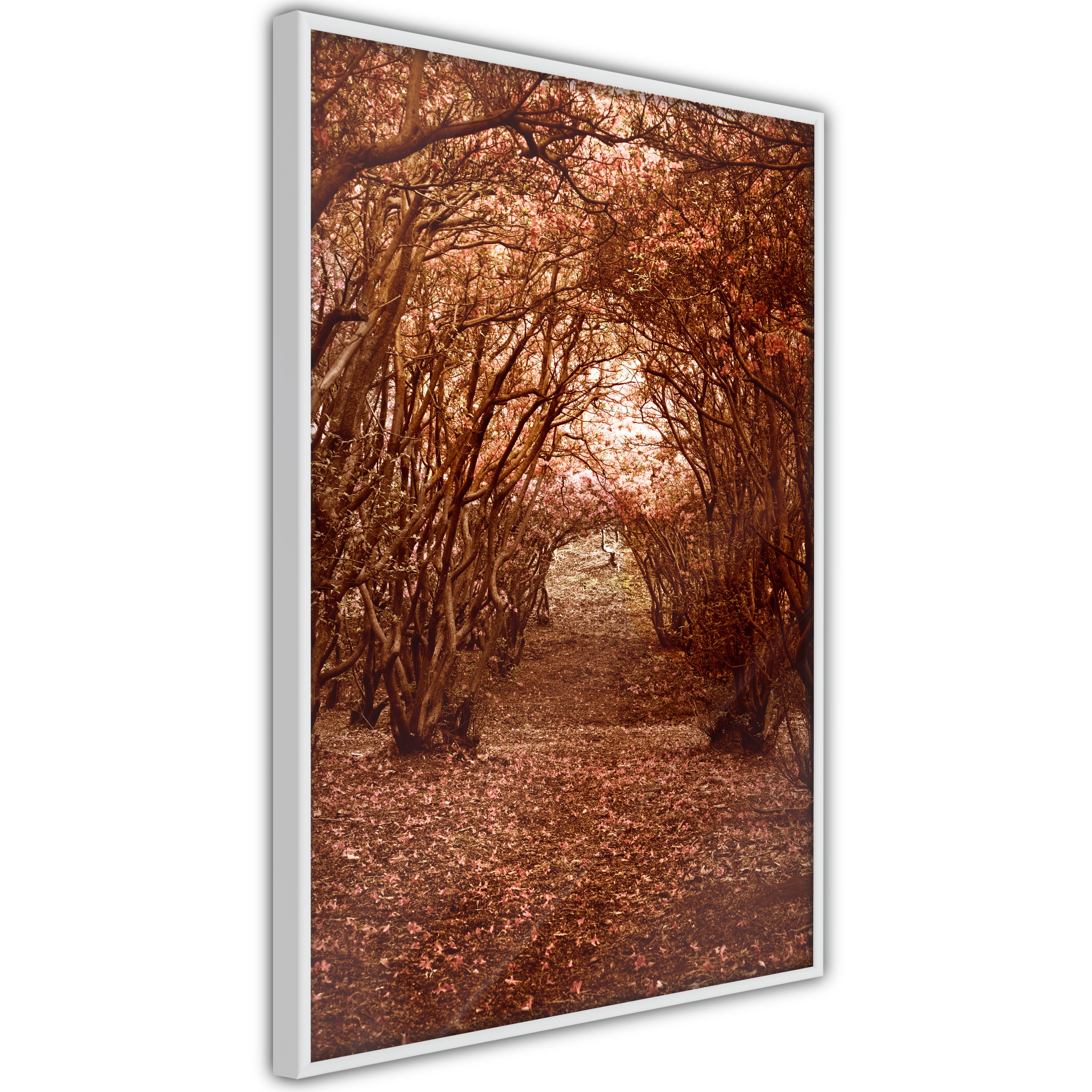 Poster et affiche - Quiet Path - 20x30 | Leroy Merlin