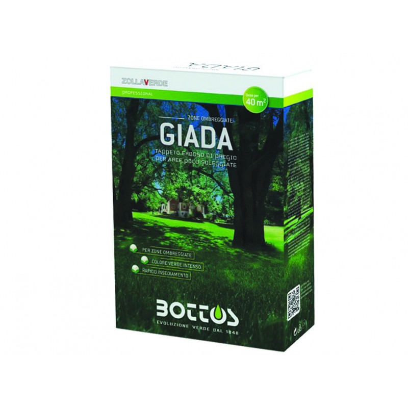 Giada - 1 Kg Bottos Semilla Césped Profesional | Leroy Merlin