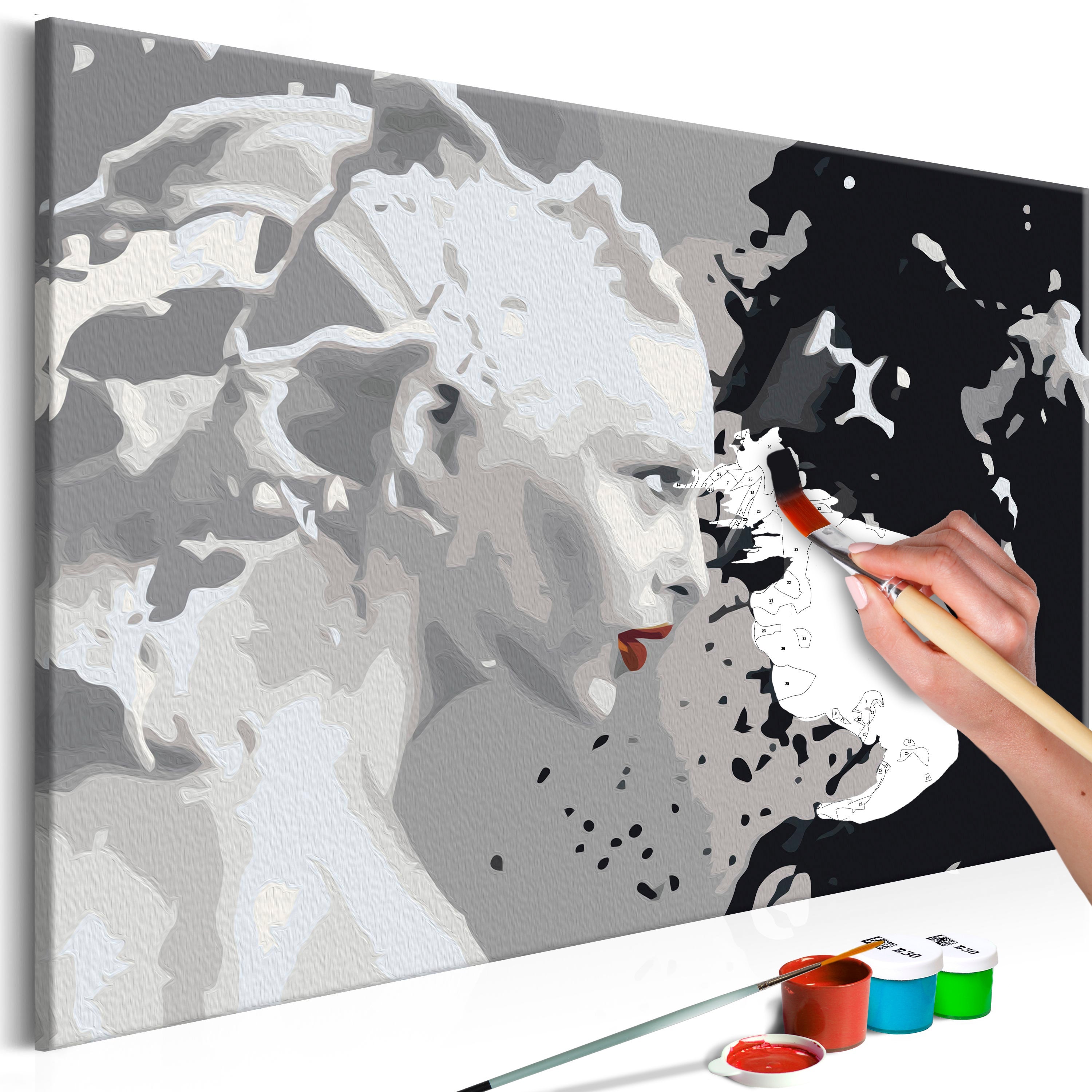 Tableau à peindre soi-même peinture par numéros motif Noir & blanc ...