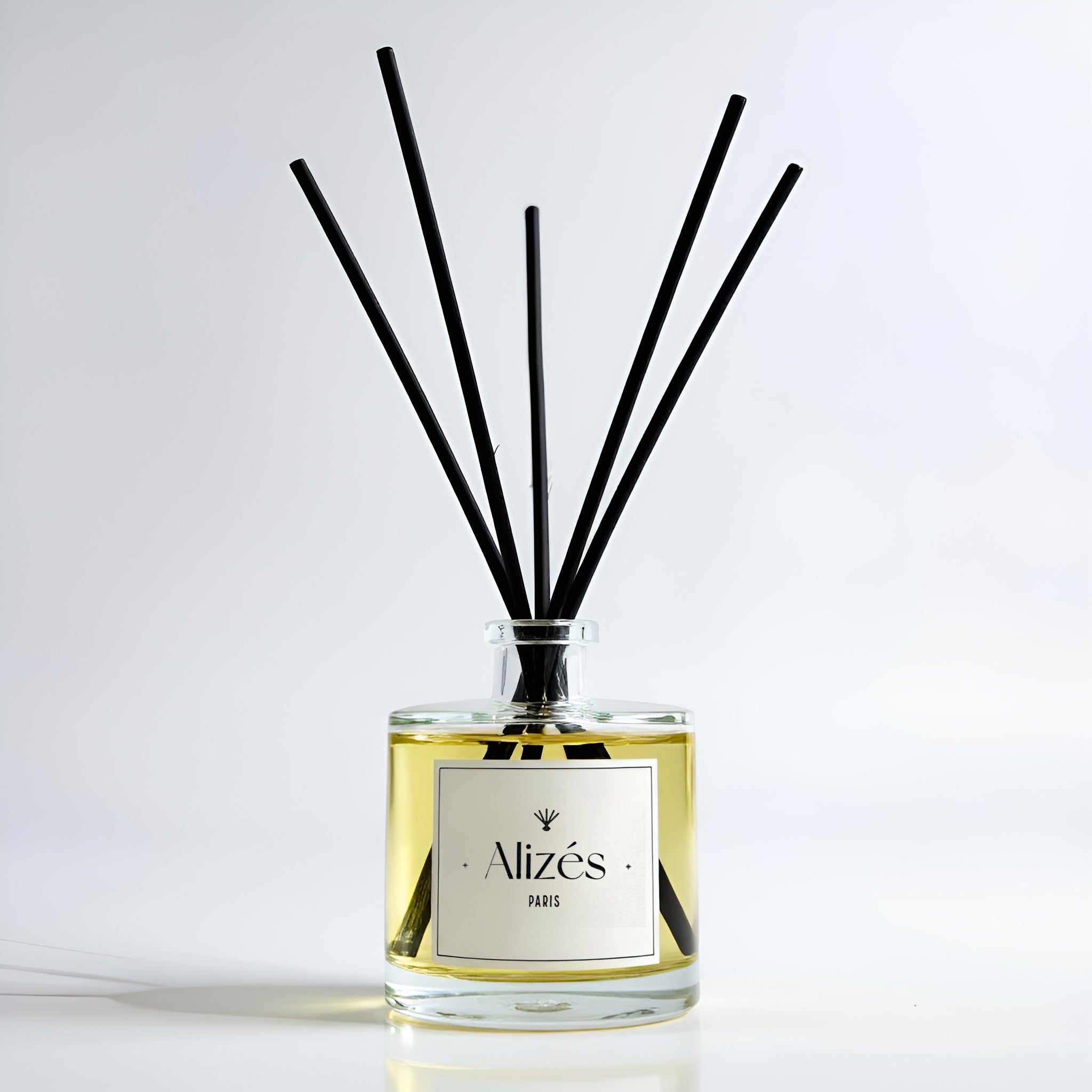 Duo Diffuseurs La Parisienne – 2x100ml – Ambre & Patchouli | Leroy Merlin