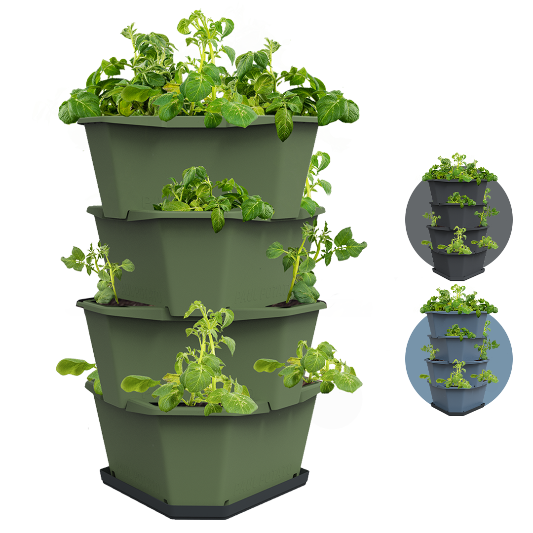 Gusta Garden - Paul Potato - Tour de pommes de terre empilable - 4 ...