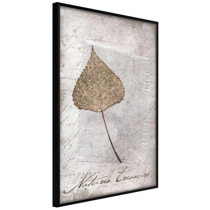 Affiche Murale Encadrée "Dried Leaf" 21 x 30 cm Noir | Leroy Merlin