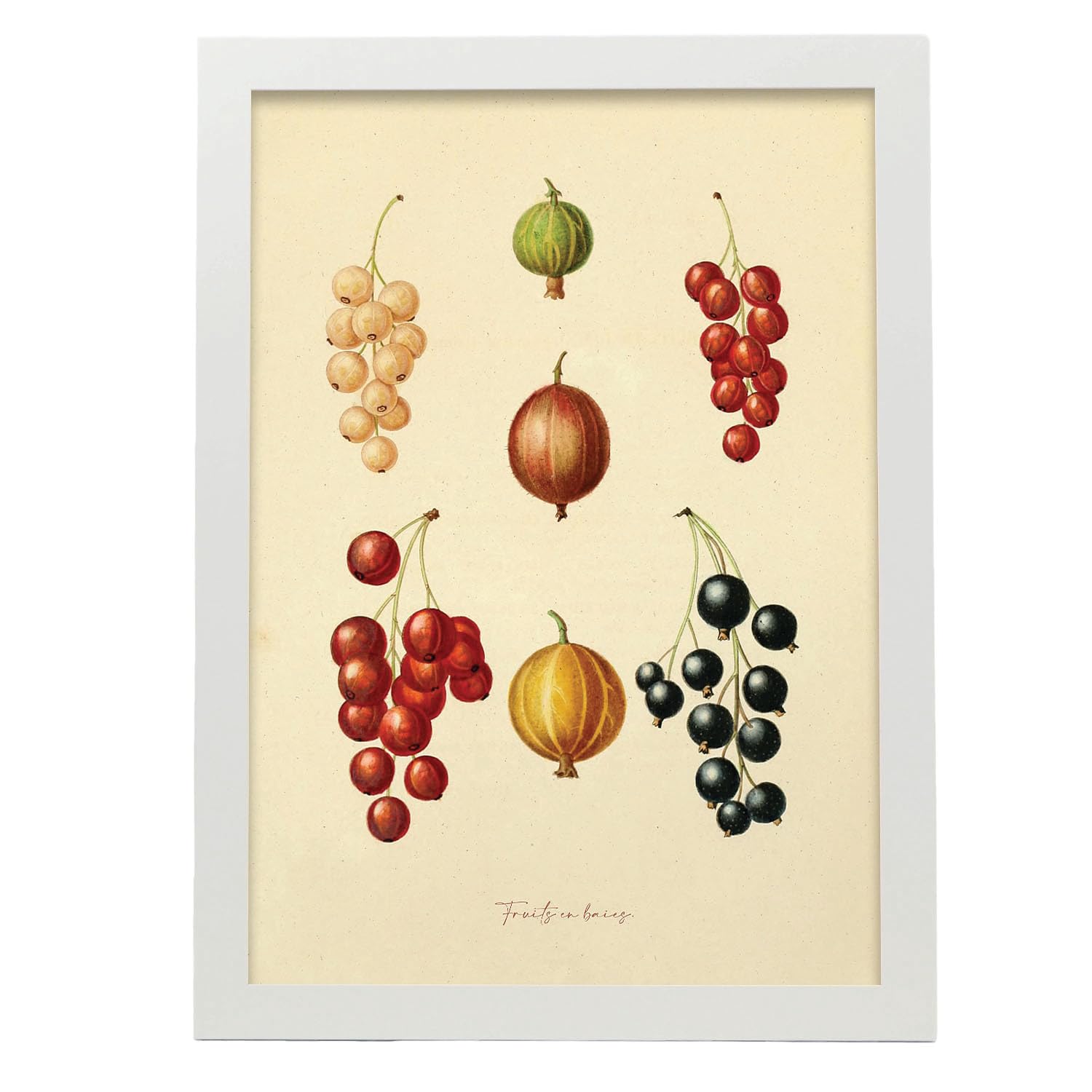 Feuille Nacnic Fruits Tropicaux Inspiré Par De Cuisine Vintage Cadres ...