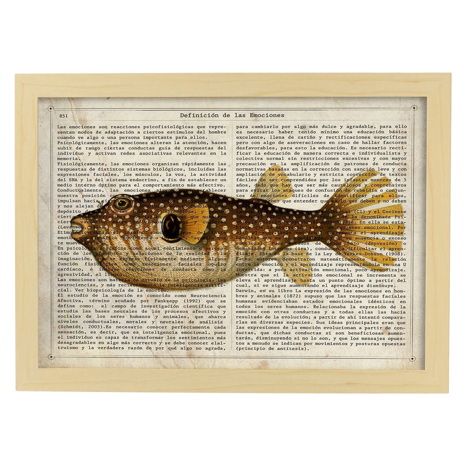 Poster De Peces Marinos. Lamina De Pez Globo Con Definicion. Diseño De ...