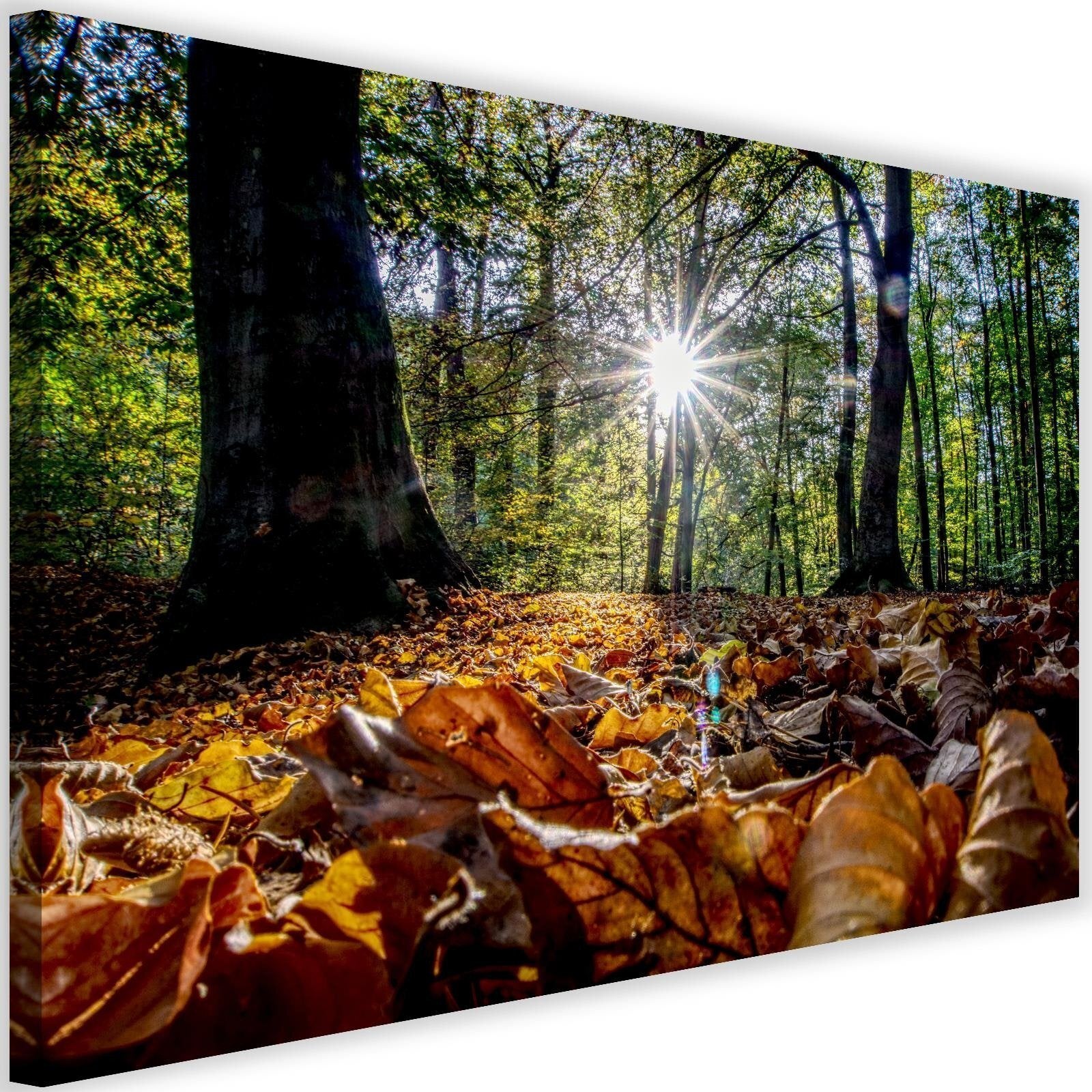 Tableau feuilles d'automne au soleil - 60 x 40 cm | Leroy Merlin