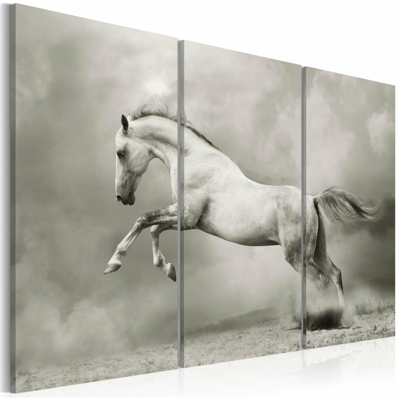 Tableau cheval blanc en mouvement - 120 x 80 cm | Leroy Merlin