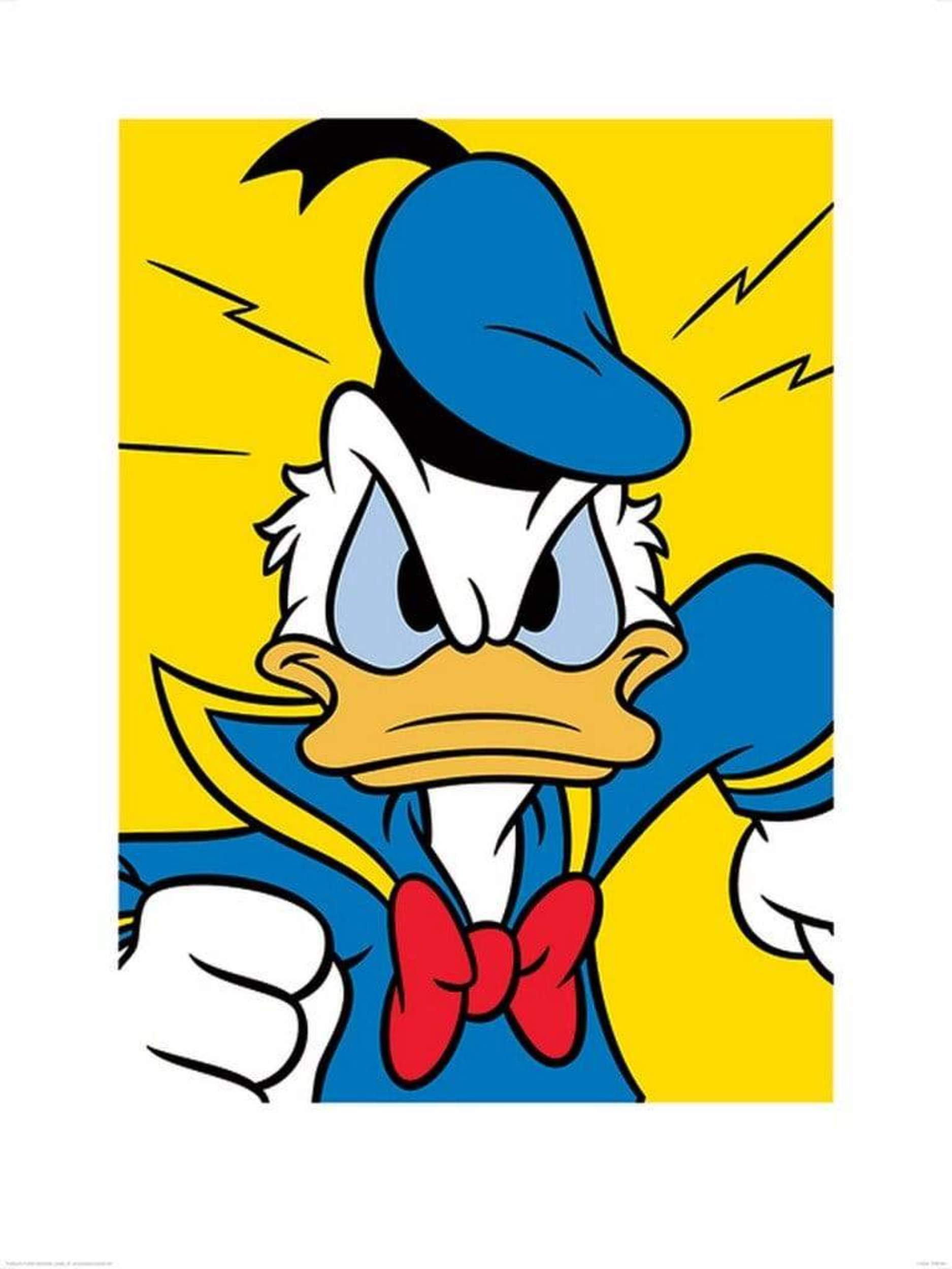 Affiche Art Donald Duck - Mad 60x80cm | Leroy Merlin