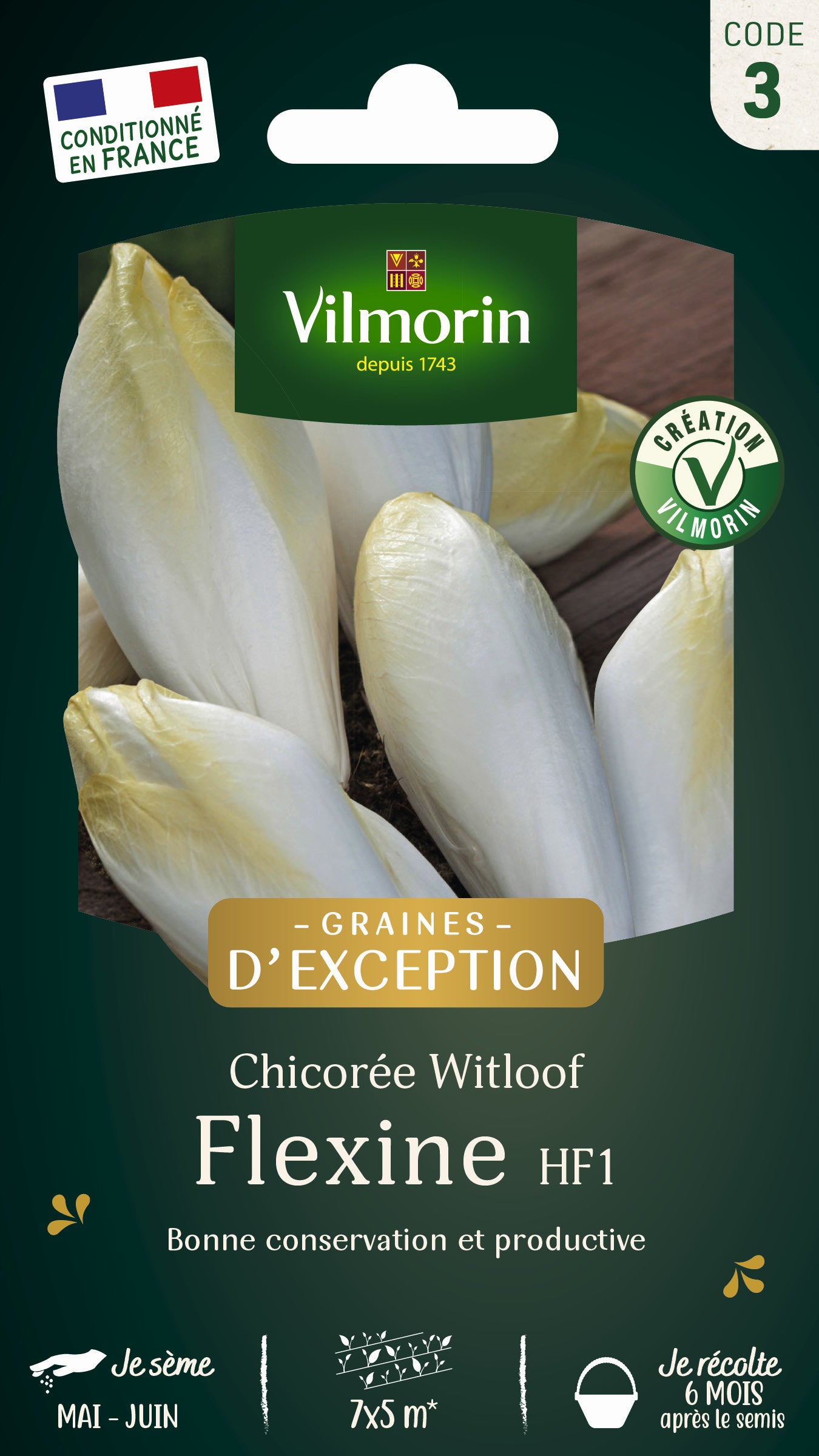 Chicorée Witloof (endive) Flexine HF1 | Leroy Merlin