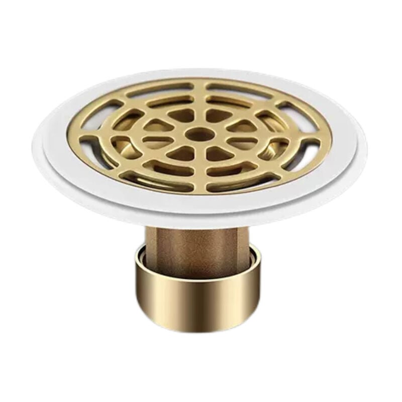 Siphon de sol, siphon de douche, valve anti-odeur avec anneau en ...