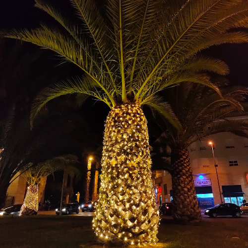 Red de luces LED, 2 x 1 m, 200 LED cálido, cable transparente, IP65 ...