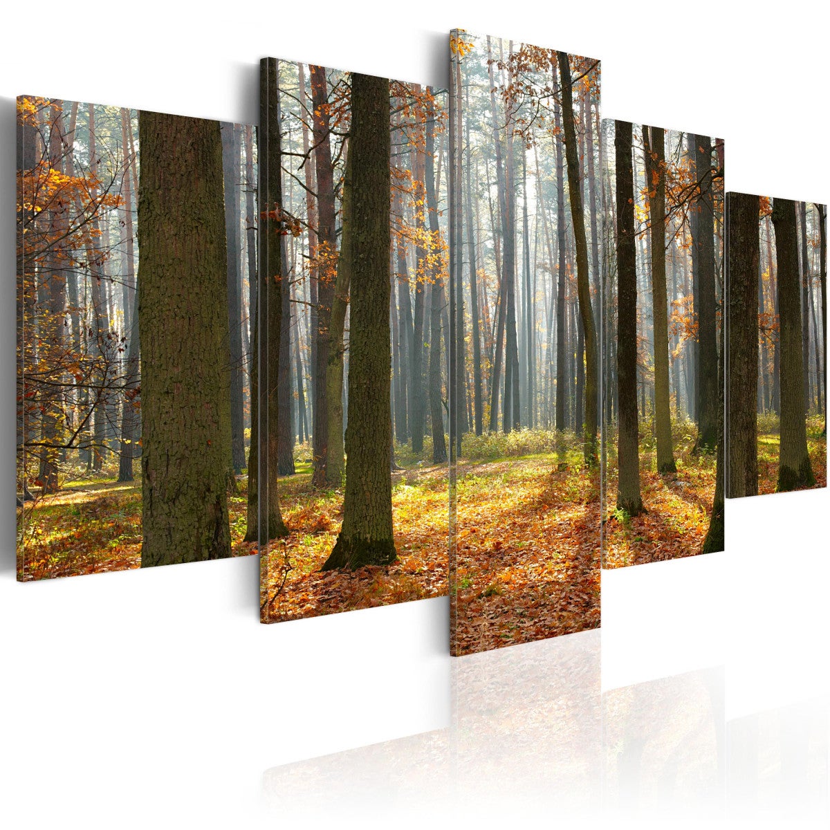 Tableau Imprimé "Un Joli Paysage de Forêt" 100 x 200 cm | Leroy Merlin