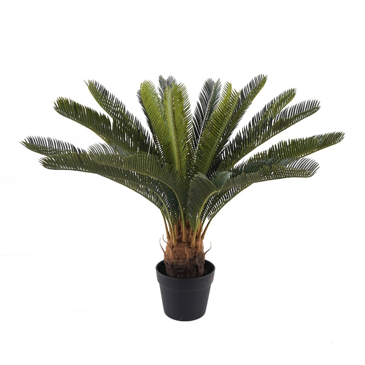 Planta Cica Artificial de PVC, Decoración Moderna para Hogar, Oficina y ...