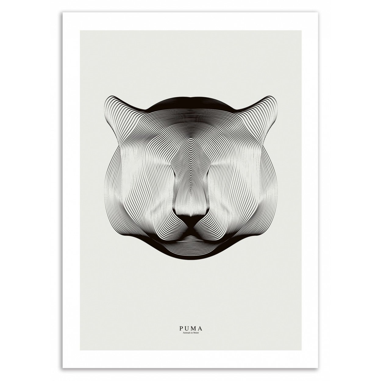 Affiche d’art 50 x 70 cm - Puma - Andrea Minini | Leroy Merlin