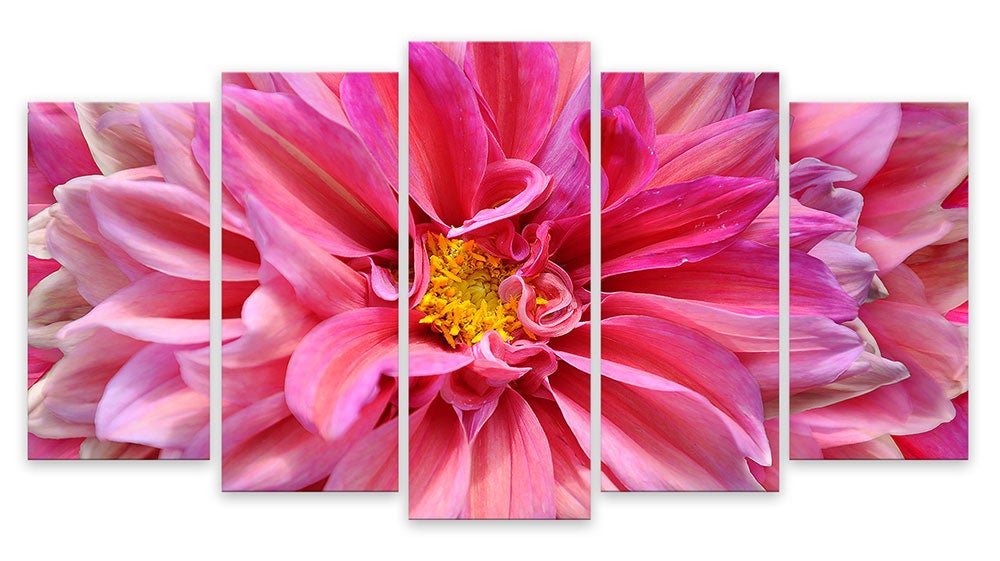 Tableau 5 parties fleurs dahlia rose - 150x80 cm | Leroy Merlin