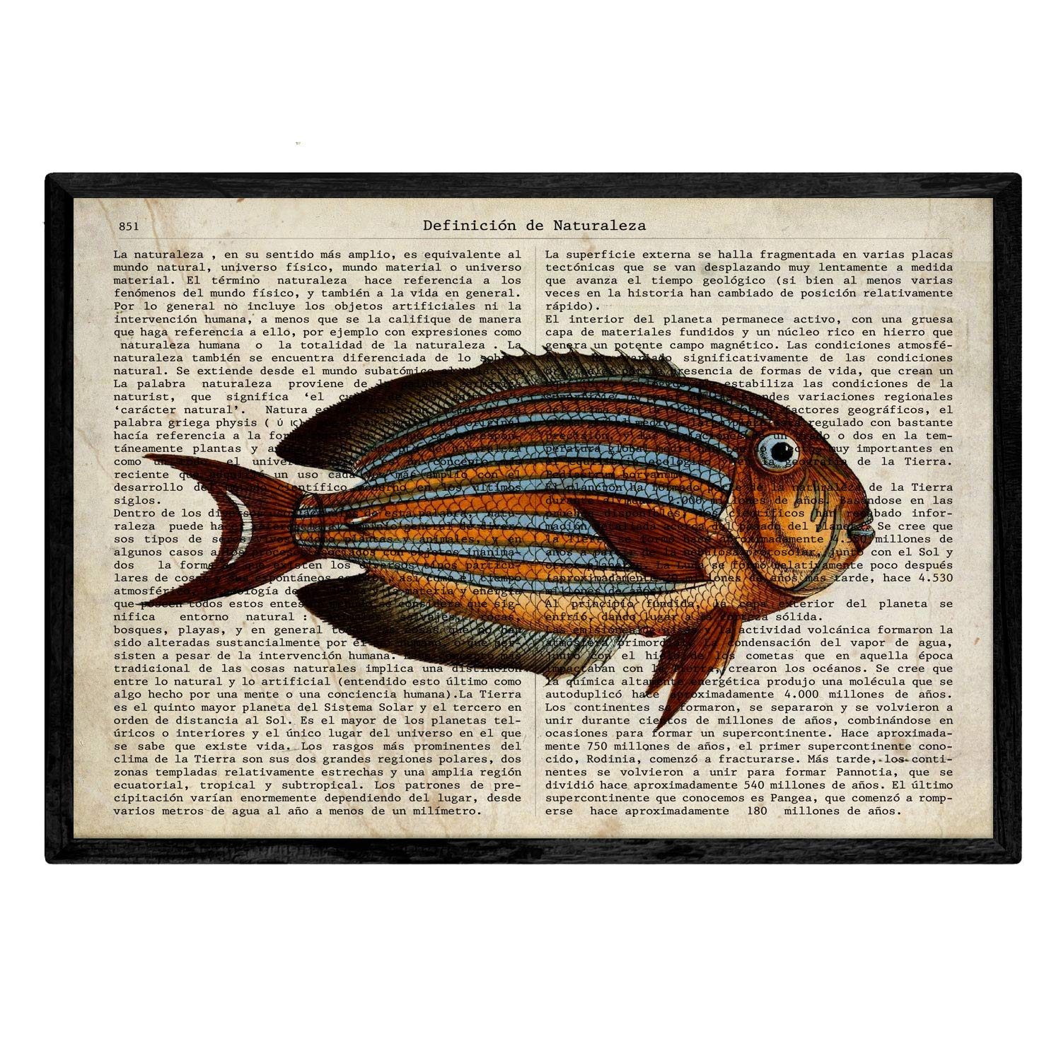 Ensemble De 4 Feuilles De Poisson Avec Des Définitions. Sans Cadre A4 ...