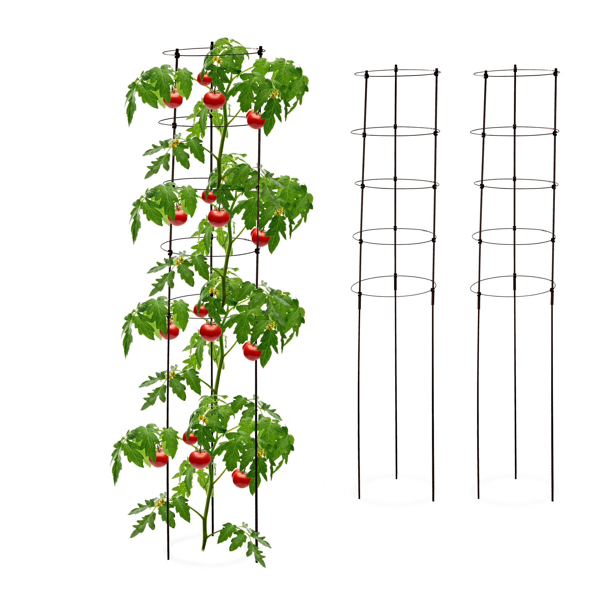 Relaxdays Tuteur à tomates, lot de 3, 5 anneaux, HxD : 150 x 28 cm ...