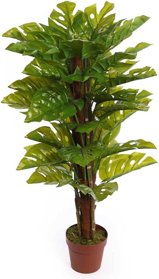 Monstera Artificial con Tutor Altura 100 cm Planta Trepadora Costilla ...
