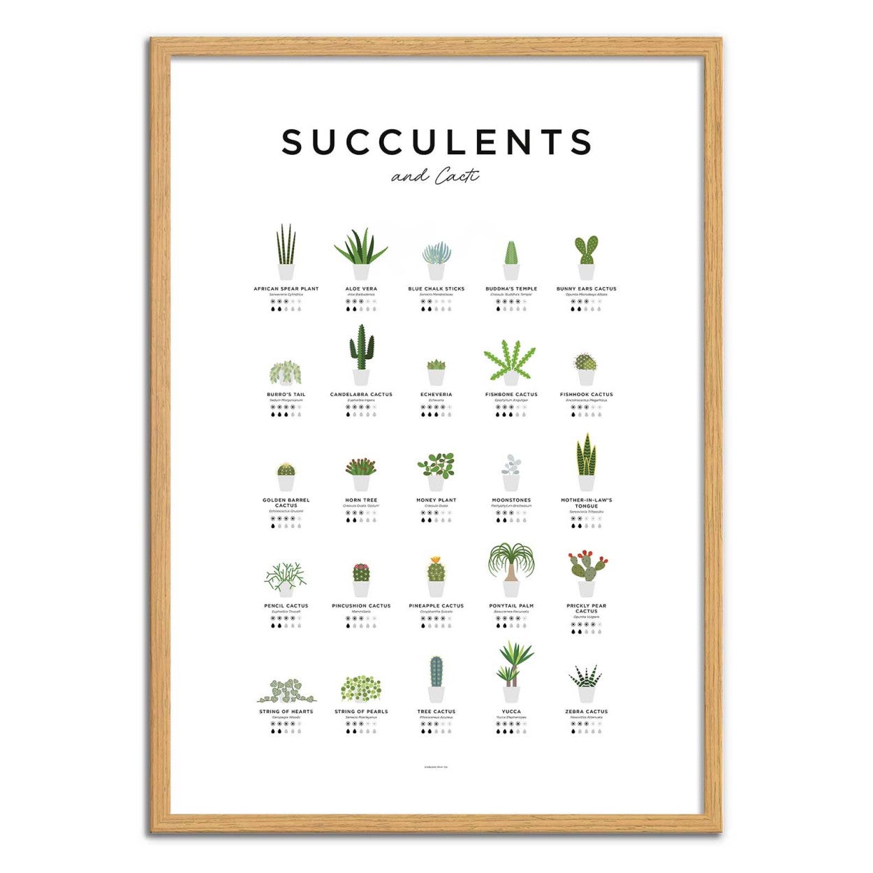 Art-Poster - Succulents and cacti guide - Everlong Print Co - avec ...