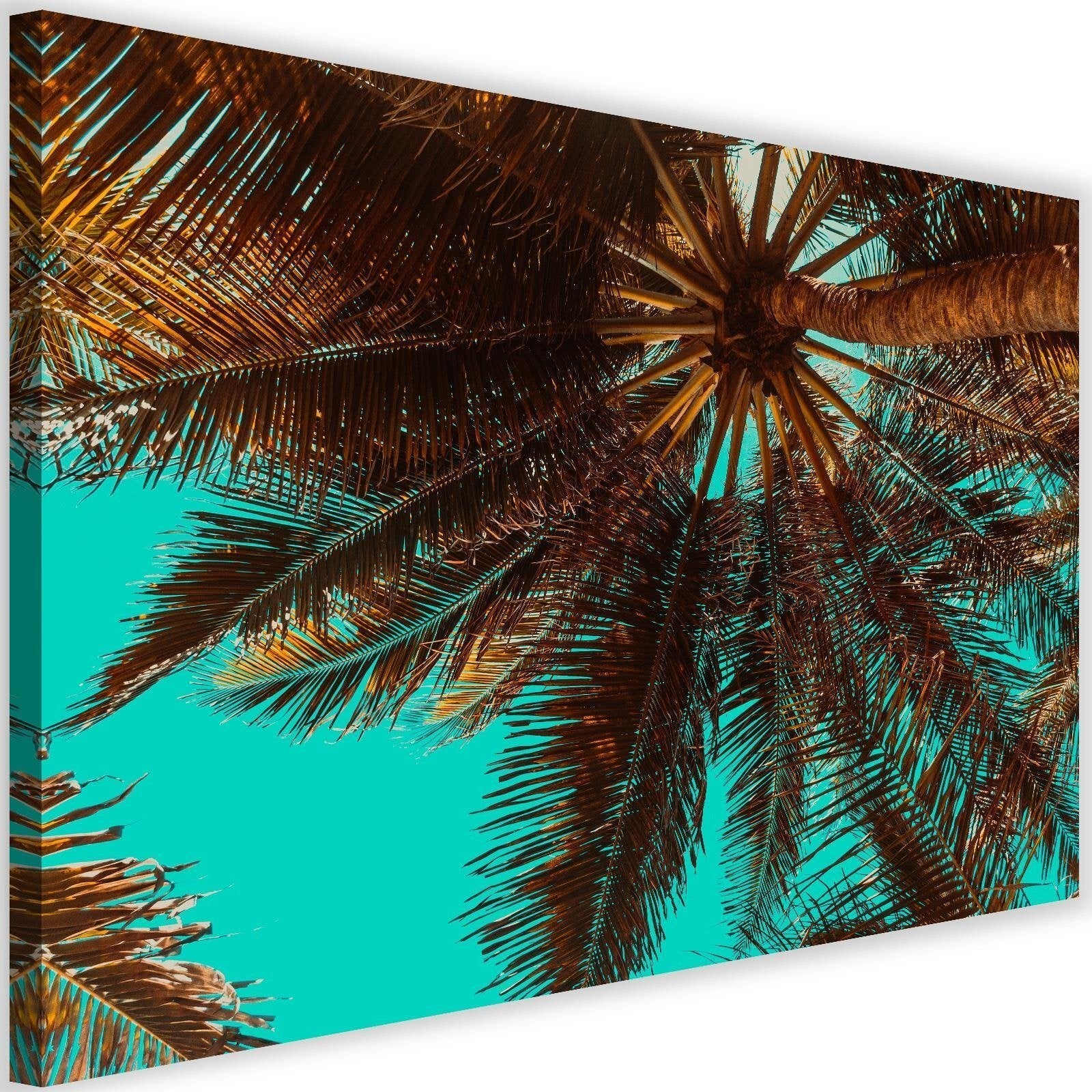 Tableau palmier sur un ciel turquoise - 60 x 40 cm | Leroy Merlin